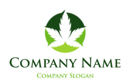 Transform Your Medical & Pharmacy Brand For Free